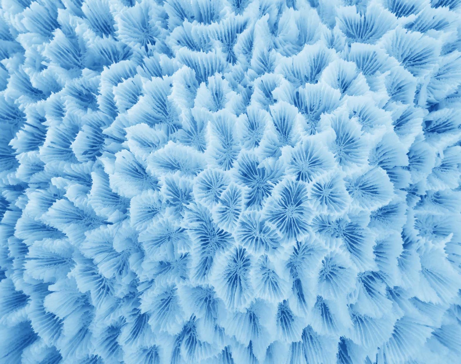 The Final Milestone of IFRS 17: OSFI Issues the Final Insurance Capital ...