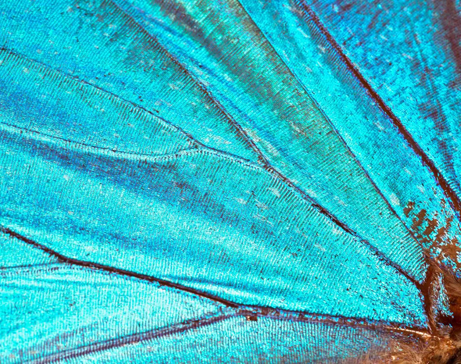 OSFI publishes adjustments and clarifications to the Minimum Capital ...